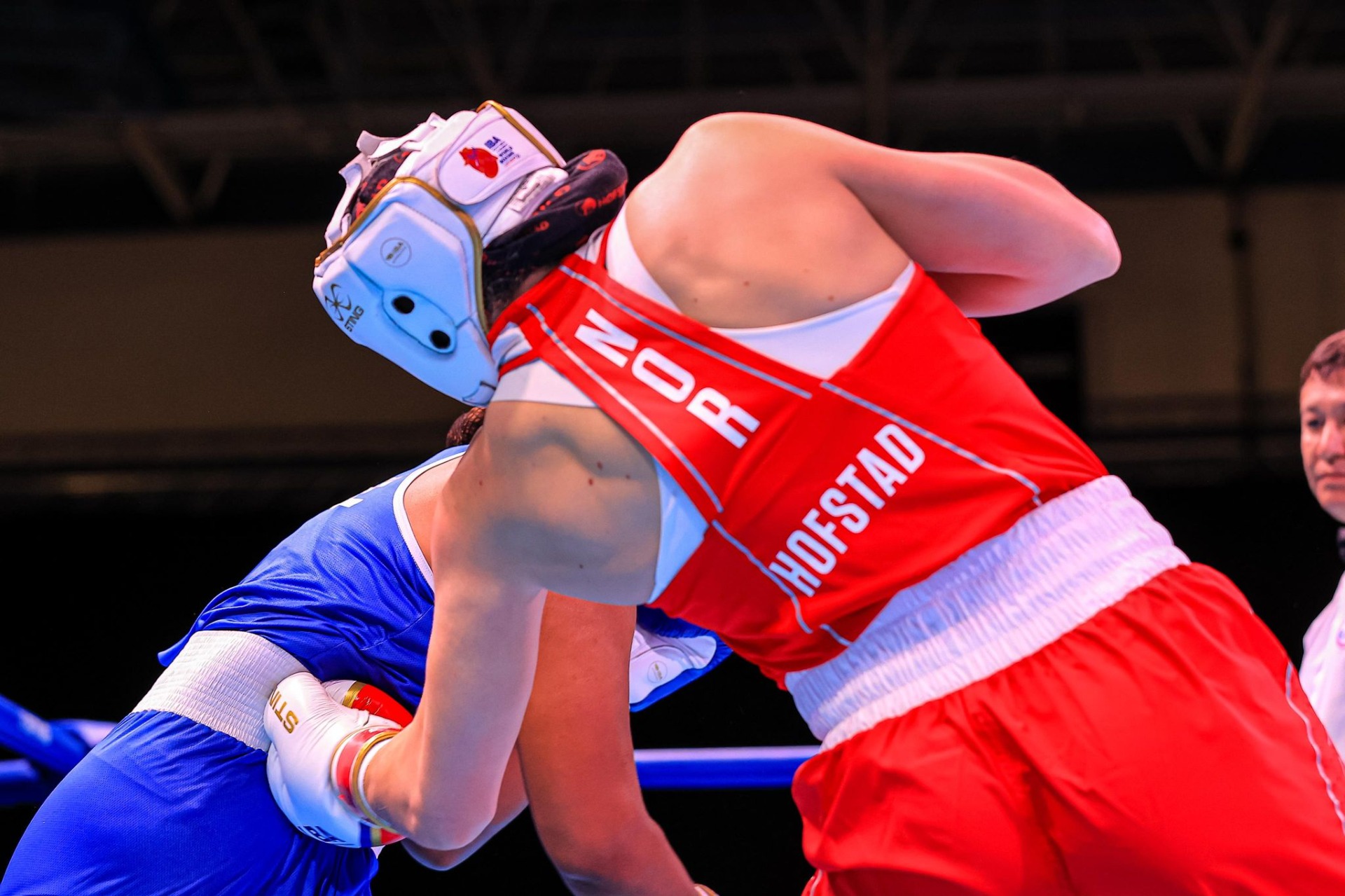 Merry Christmas and Happy New Year! :: Sunniva Hofstad